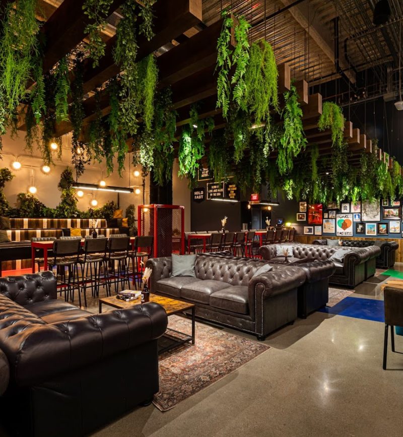 CSC BrewDog Signup - CSC Pails